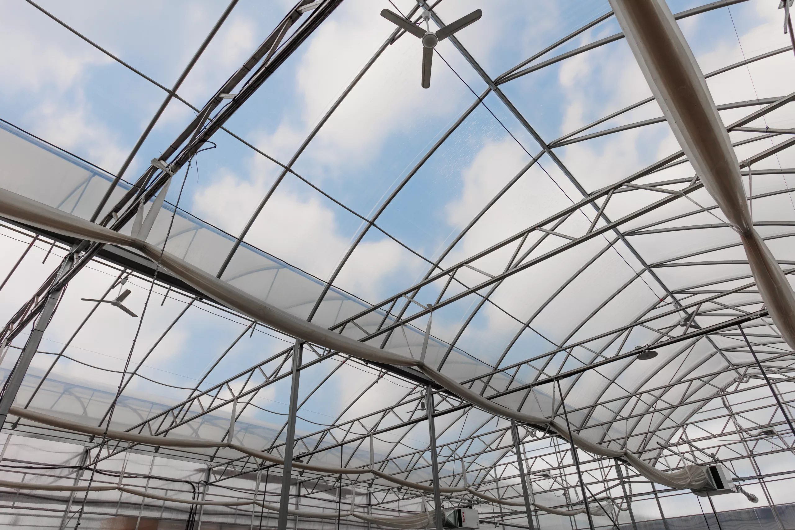 Oval Tube Greenhouse Structure | 6 reasons why